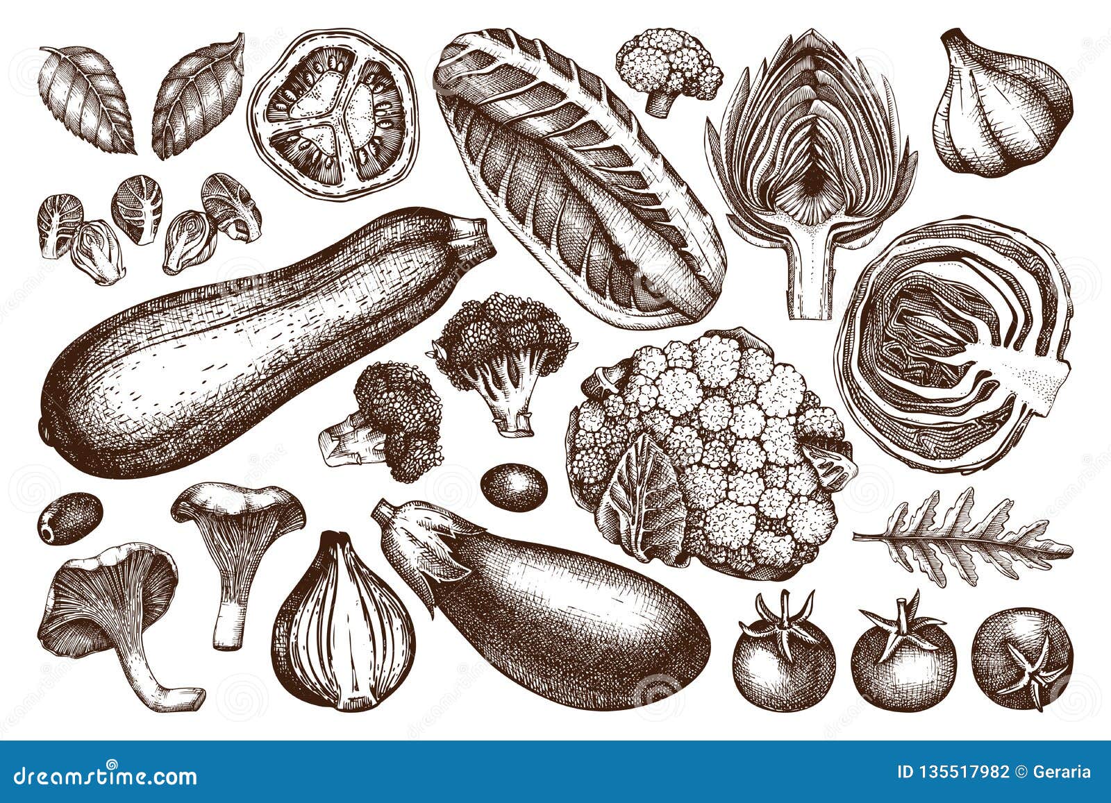 Vector Collection of Hand Sketched Vegetables. Vintage Veggies and ...