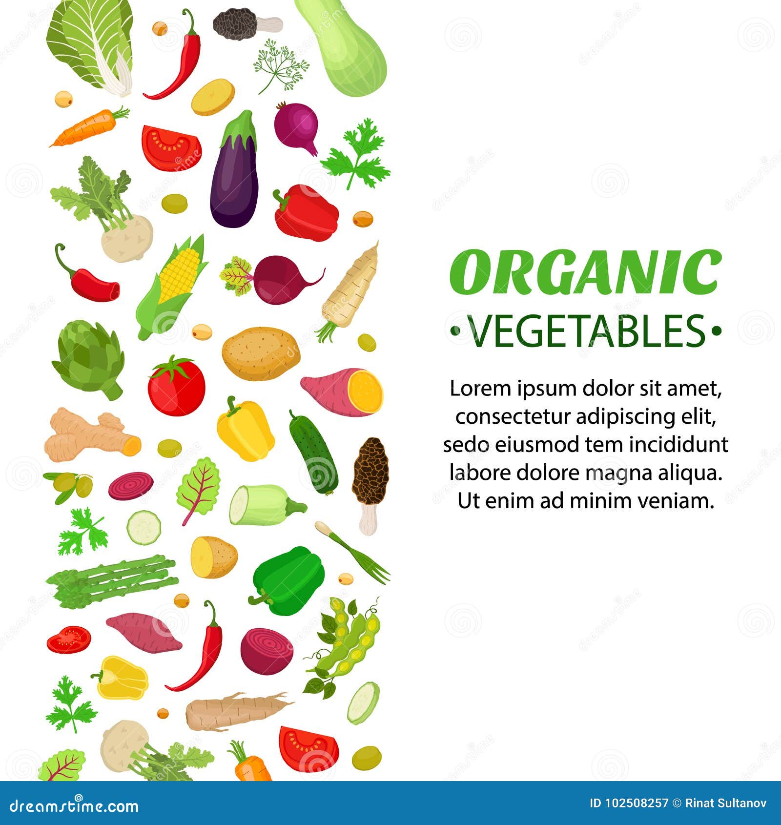 Vegetables Set, Logo, Label, Voucher. Cartoon Flat Style. Vector ...