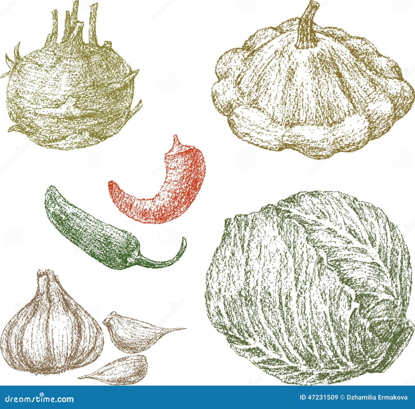 Vegetables set stock vector. Illustration of food, cabbage - 47231509