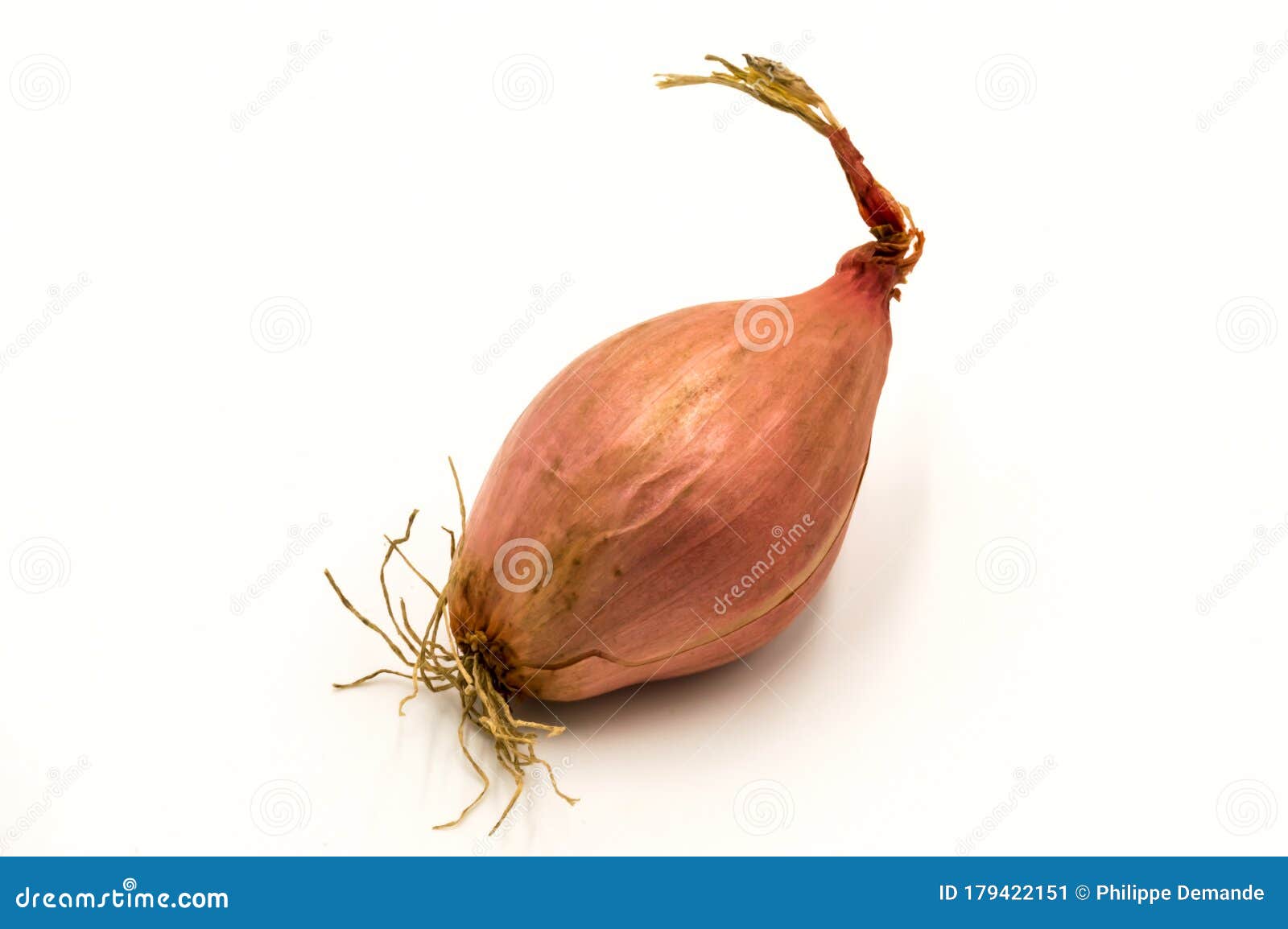 Vegetables: a Shallot Isolated Stock Image - Image of ripe, lifestyle ...