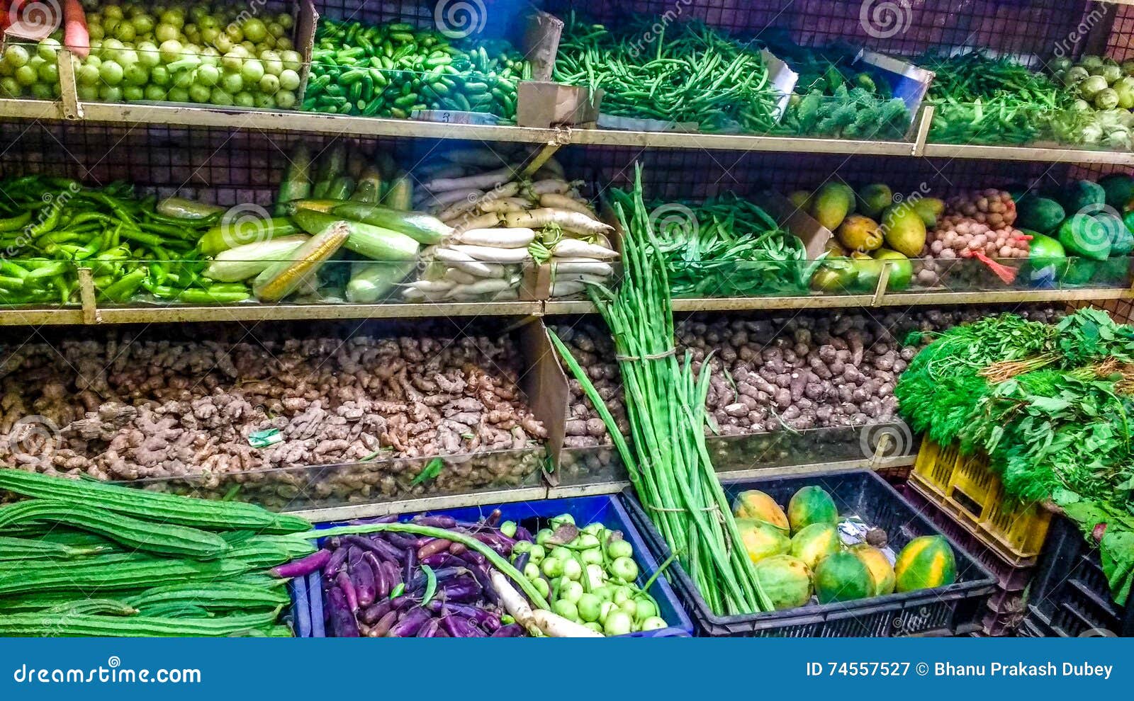 Vegetables in a shop stock image. Image of green, together - 74557527