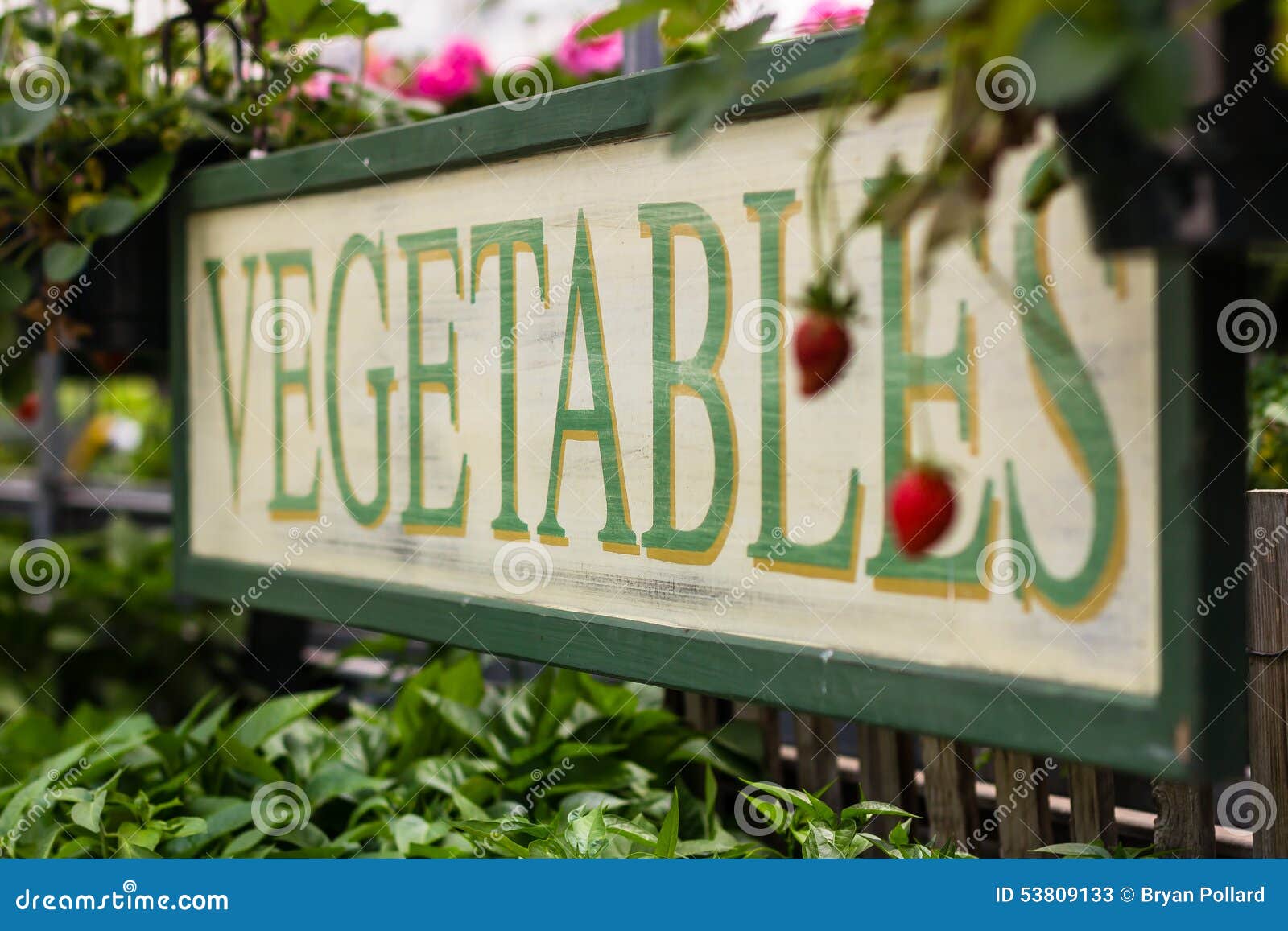 Vegetables Sign stock image. Image of yellow, green, vegetables - 53809133