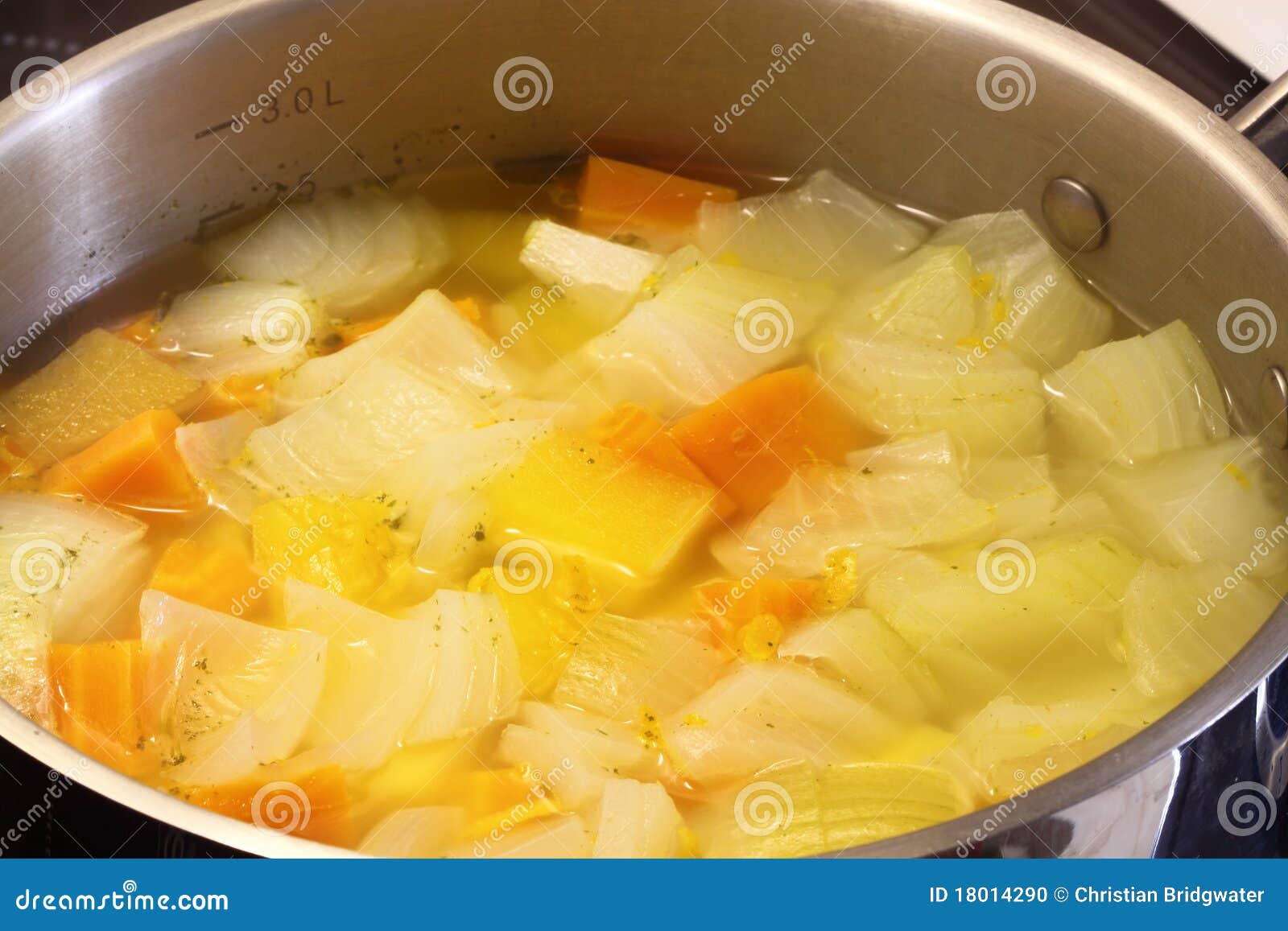 Vegetables simmering stock photo. Image of simmering - 18014290