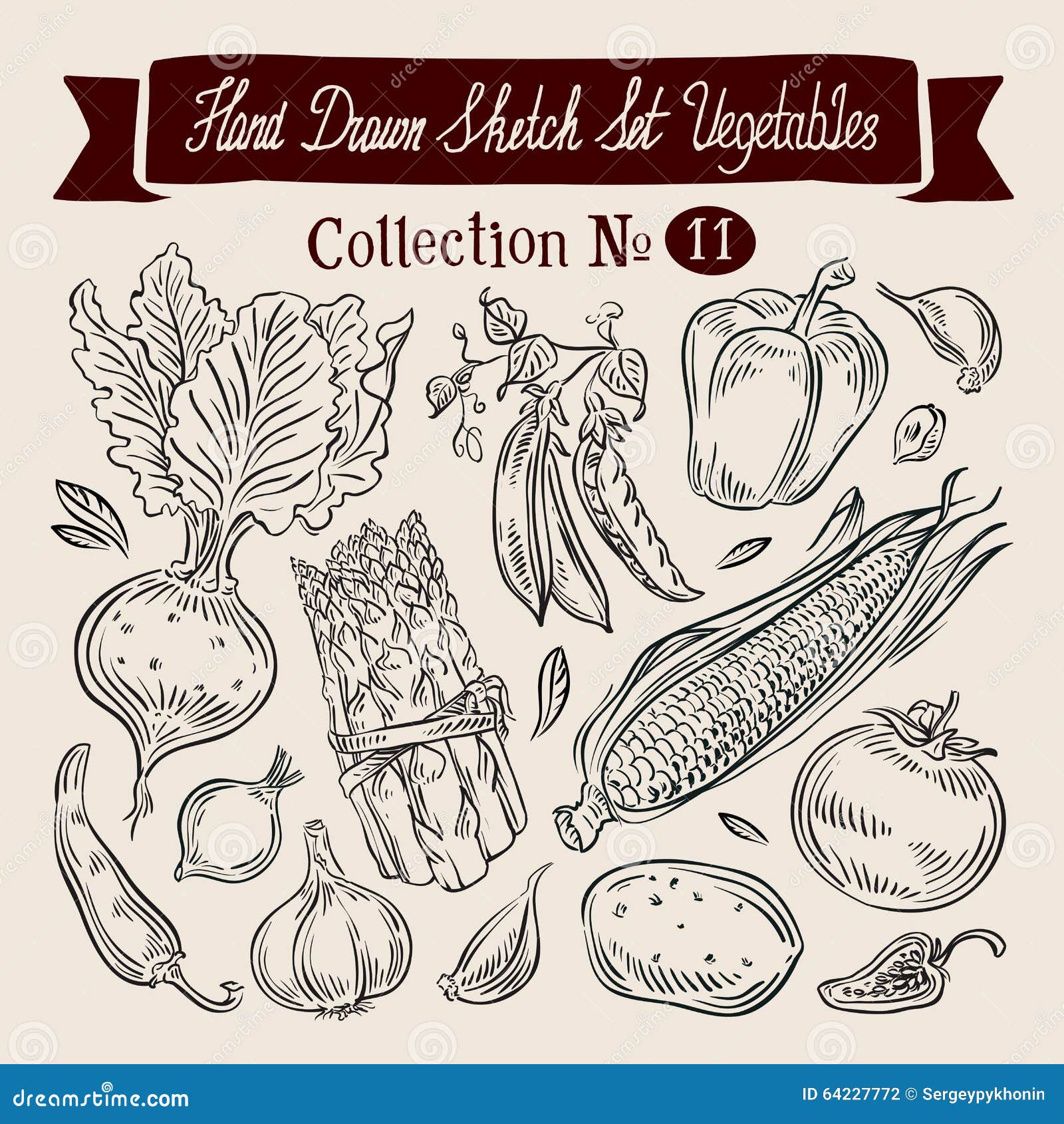 Vegetables Sketch. Set Of Elements - Cabbage Vector Illustration ...