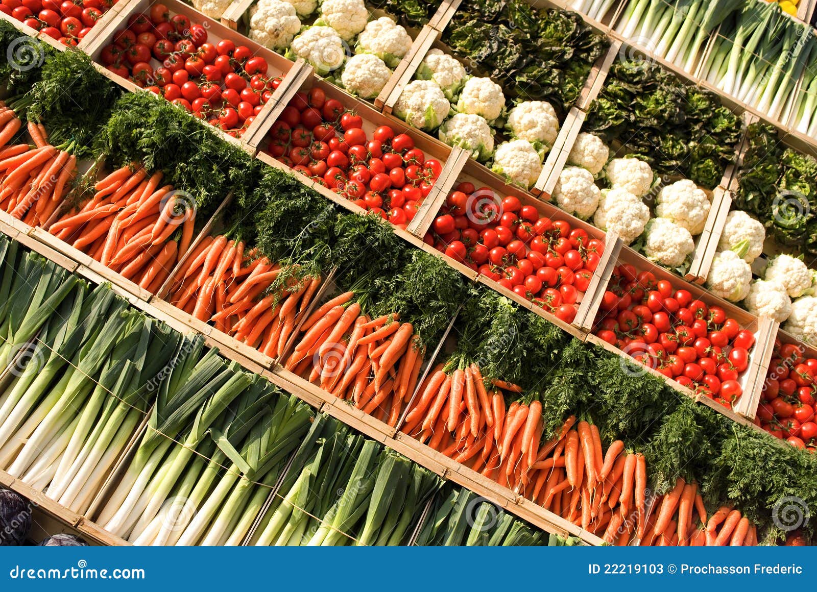 Vegetables spirit stock image. Image of gardener, market - 22219103