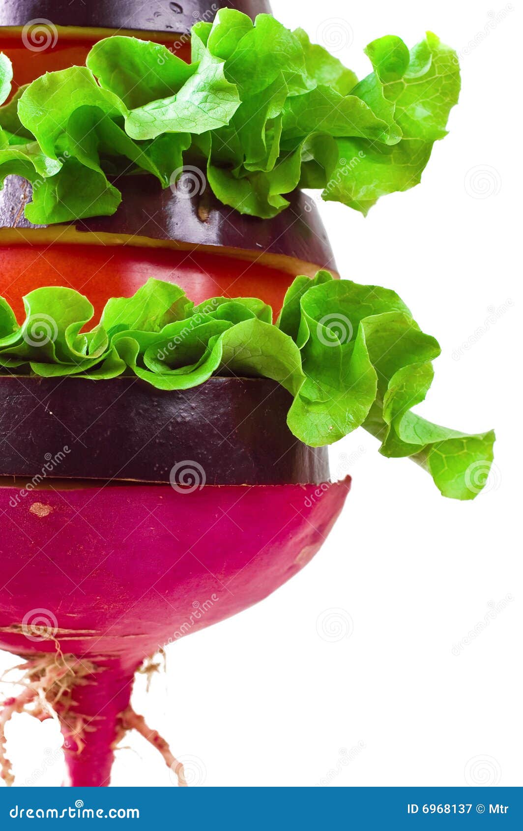 Vegetables on a spit stock image. Image of aubergine, grill - 6968137
