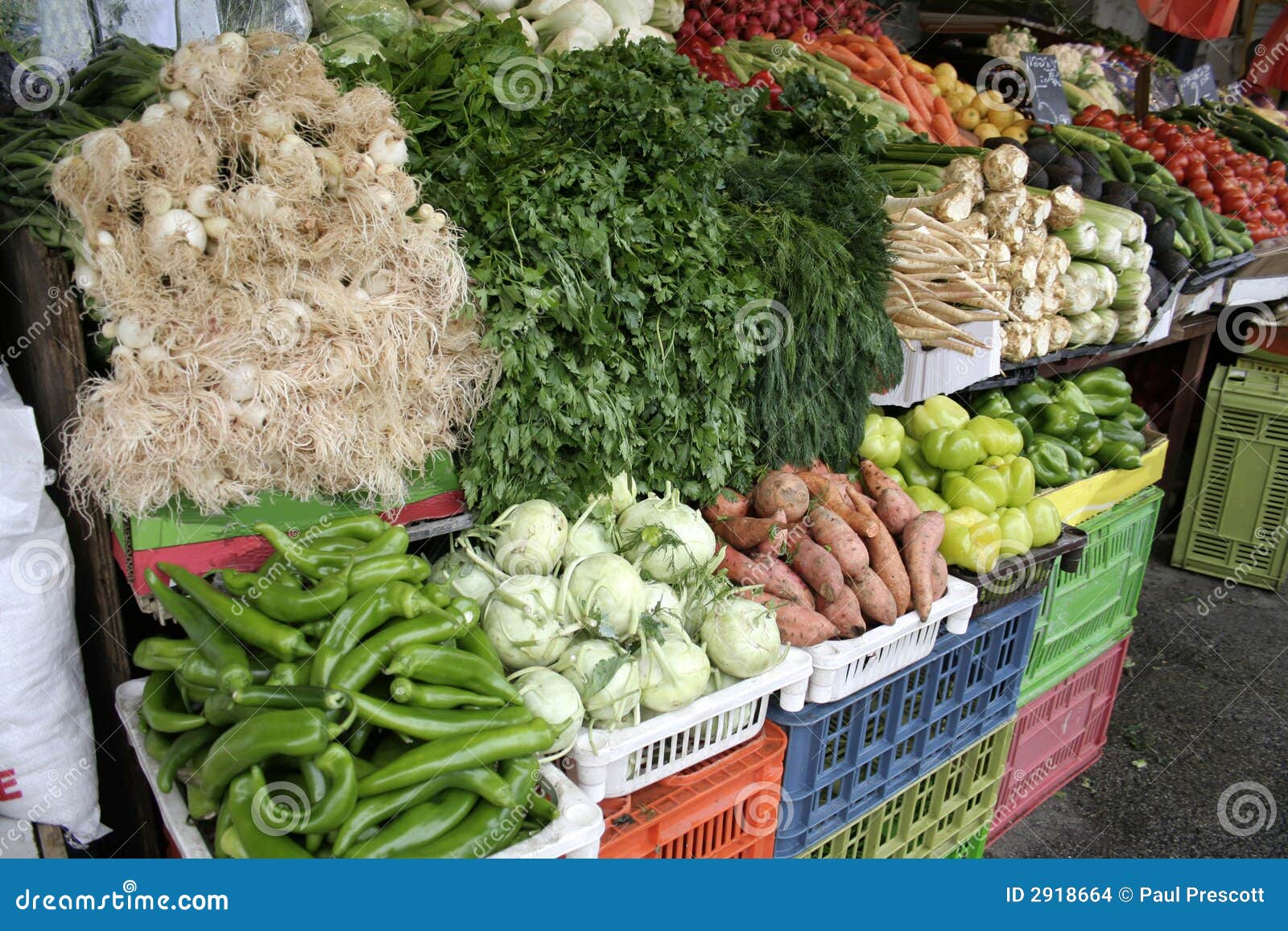 Vegetables stalll in haifa stock photo. Image of health - 2918664