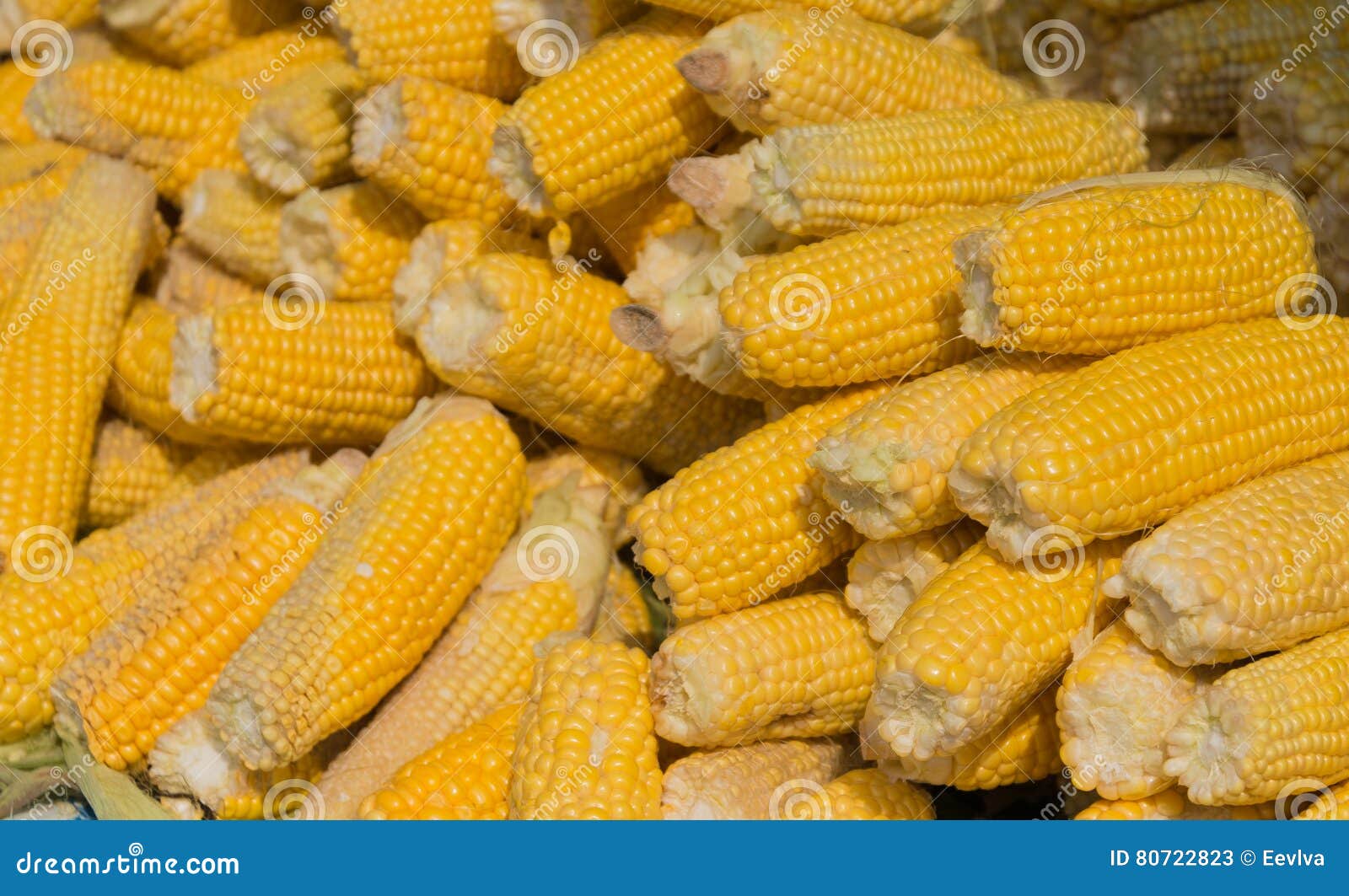 Vegetables in a Supermarket - Corn. Stock Image - Image of clean ...