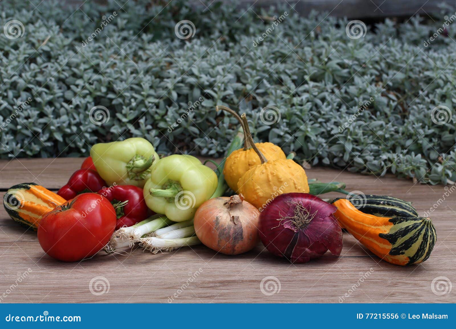 Vegetables on the table stock photo. Image of isolated - 77215556
