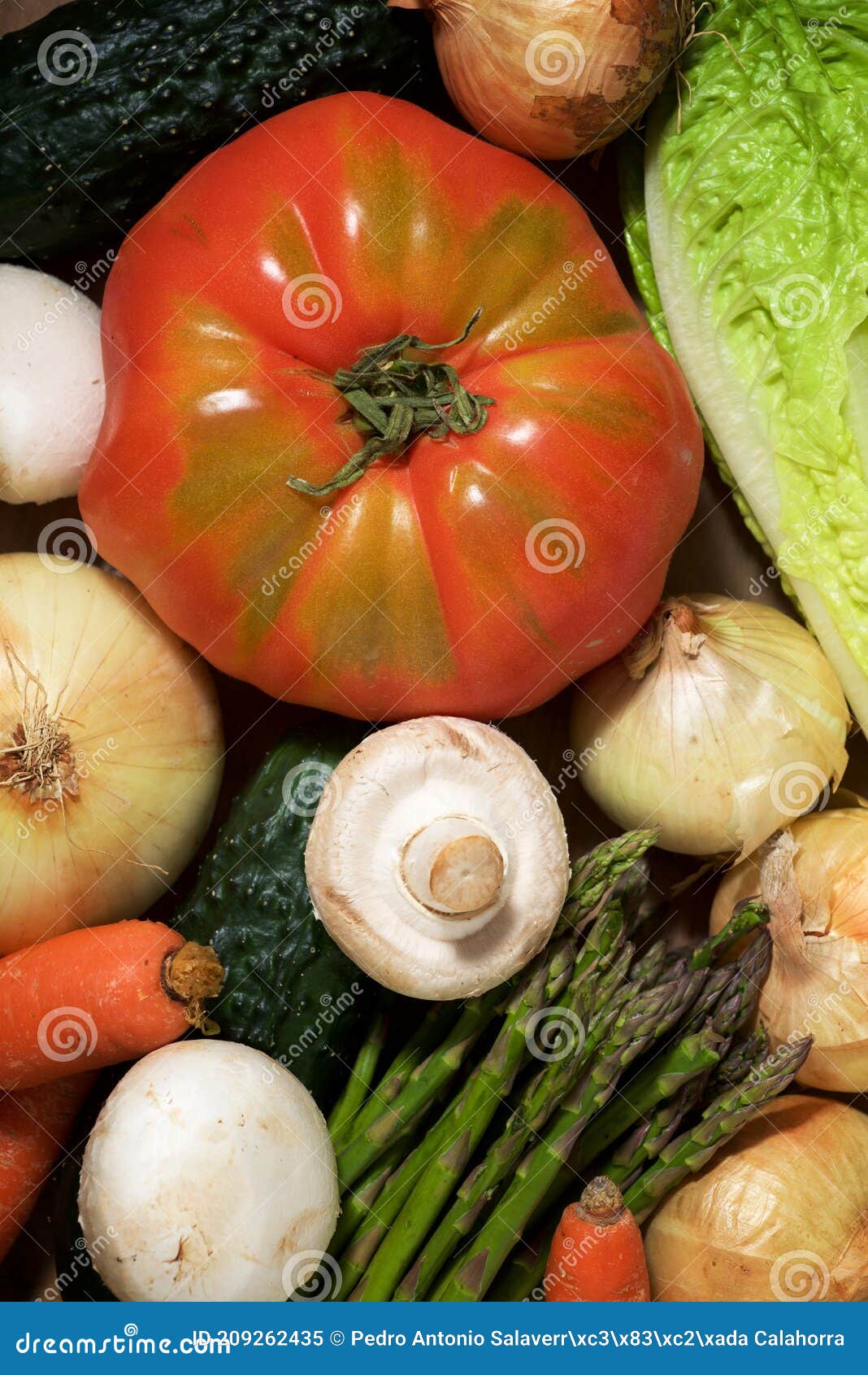 Vegetables on a table stock image. Image of harvest - 209262435