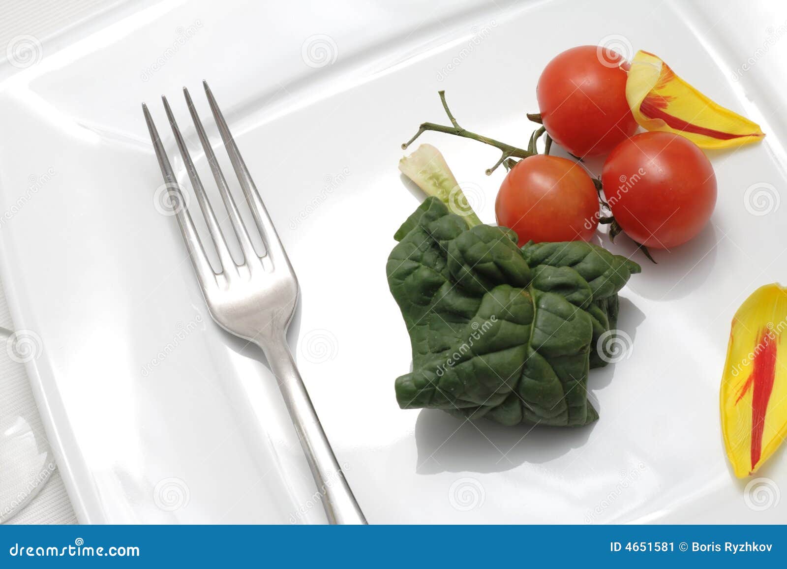 Vegetables and tulip stock image. Image of vegetables - 4651581