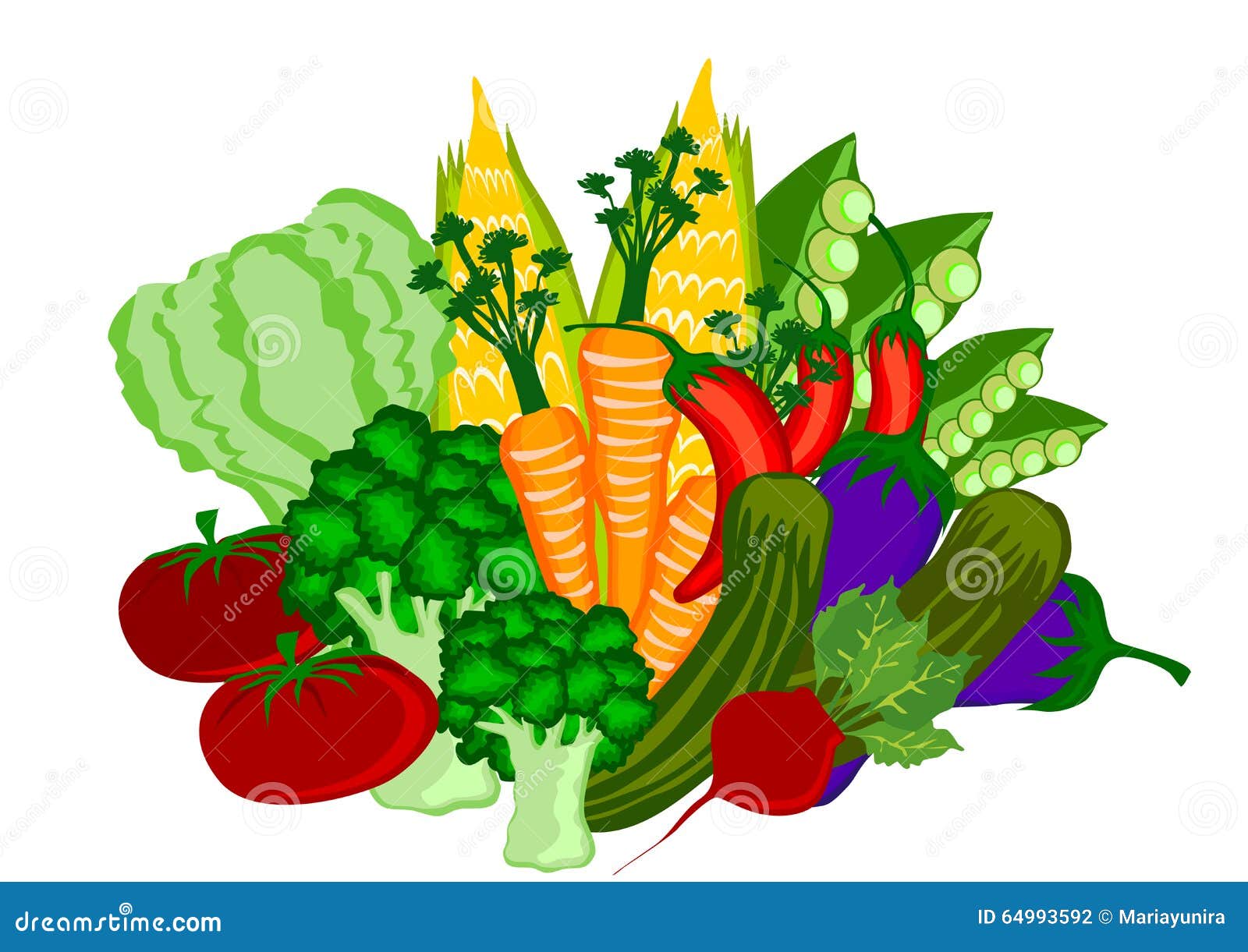 Vegetables stock illustration. Illustration of fresh - 64993592