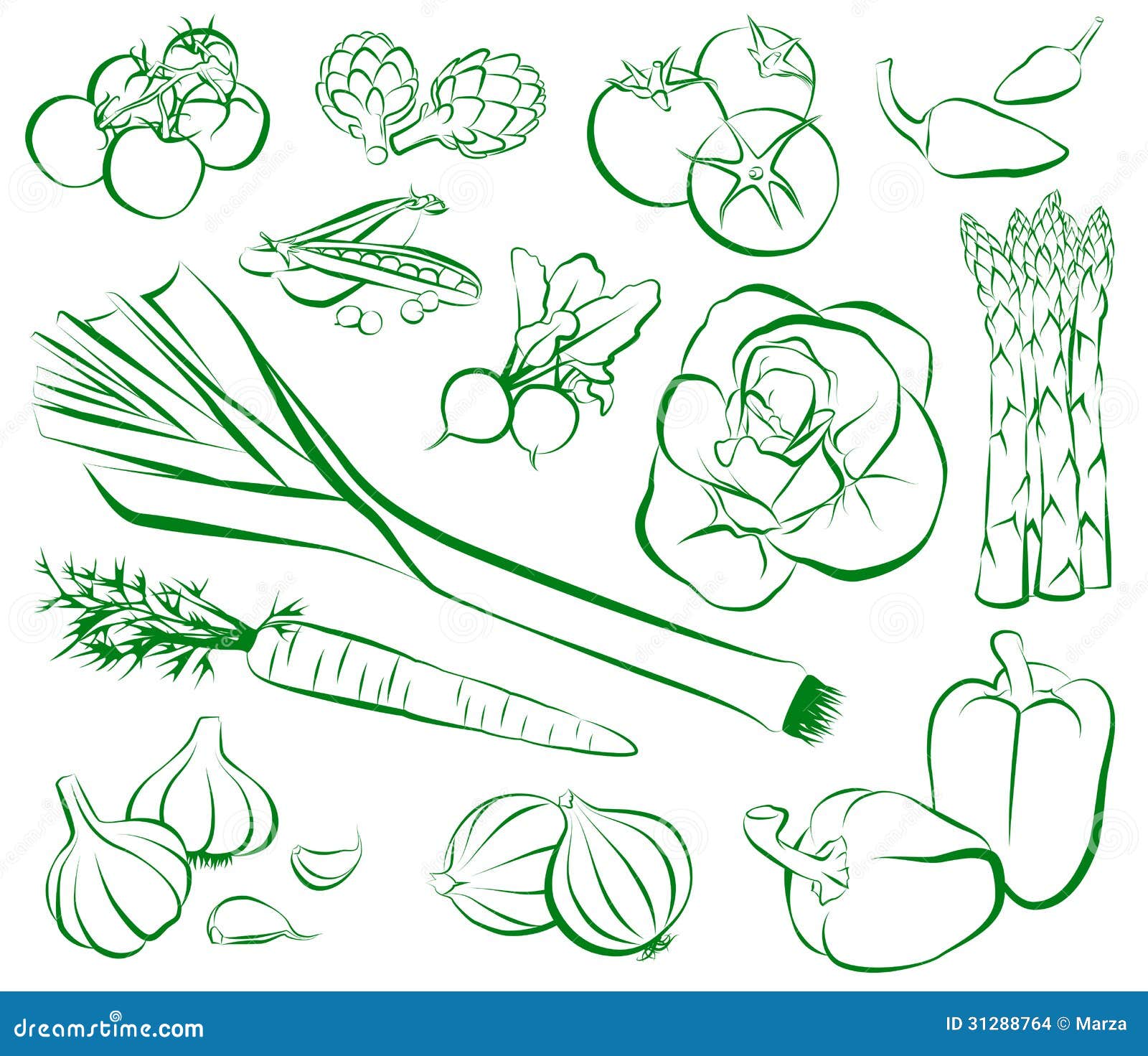 Vegetables stock vector. Illustration of cuisine, fresh - 31288764