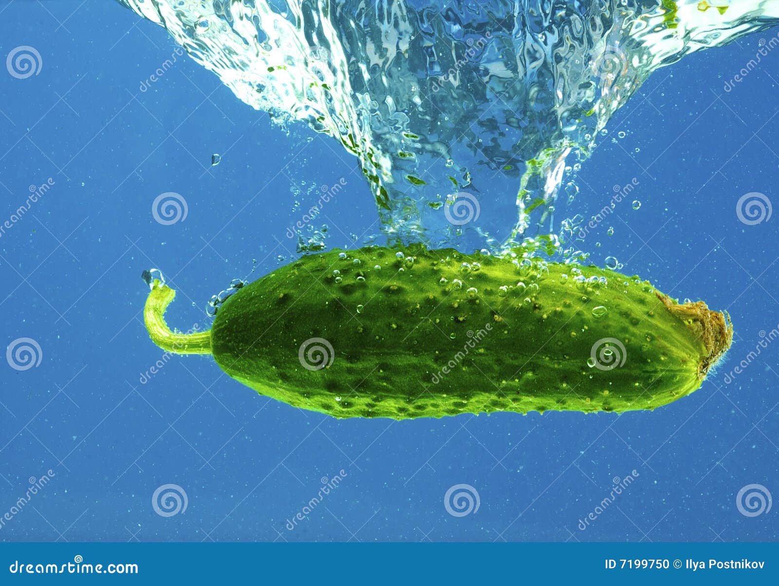 Vegetables in water stock photo. Image of lifestyle, bright - 7199750