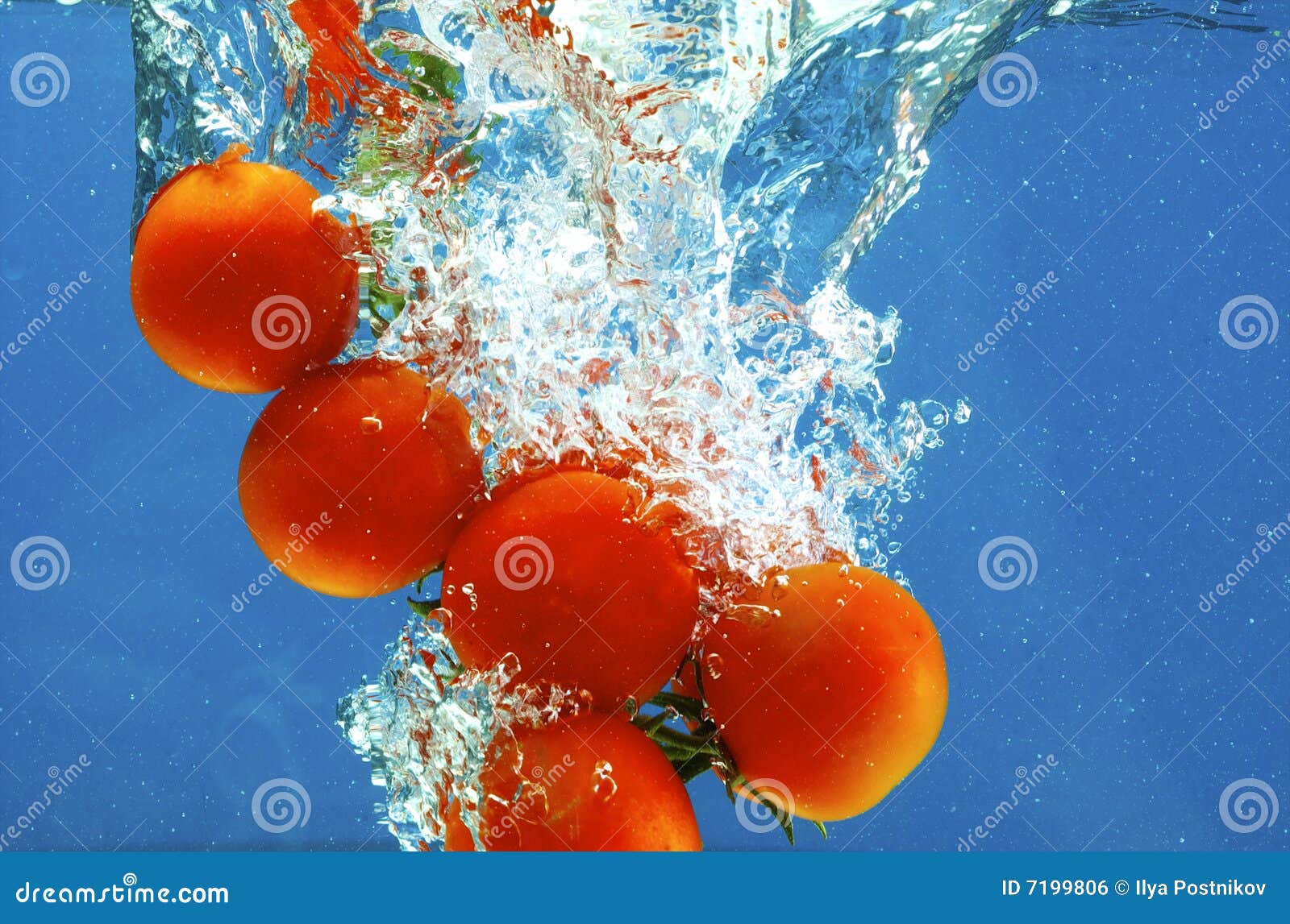 Vegetables in water stock photo. Image of natural, concepts - 7199806