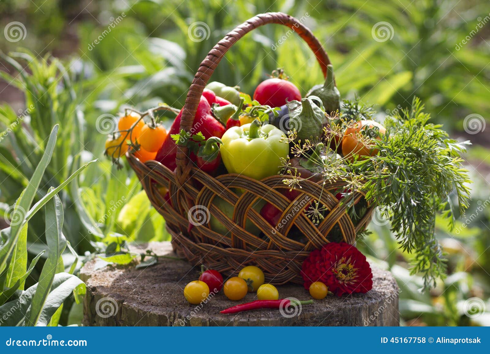 Vegetables in a Wicker Basket Stock Photo - Image of food, gardening ...