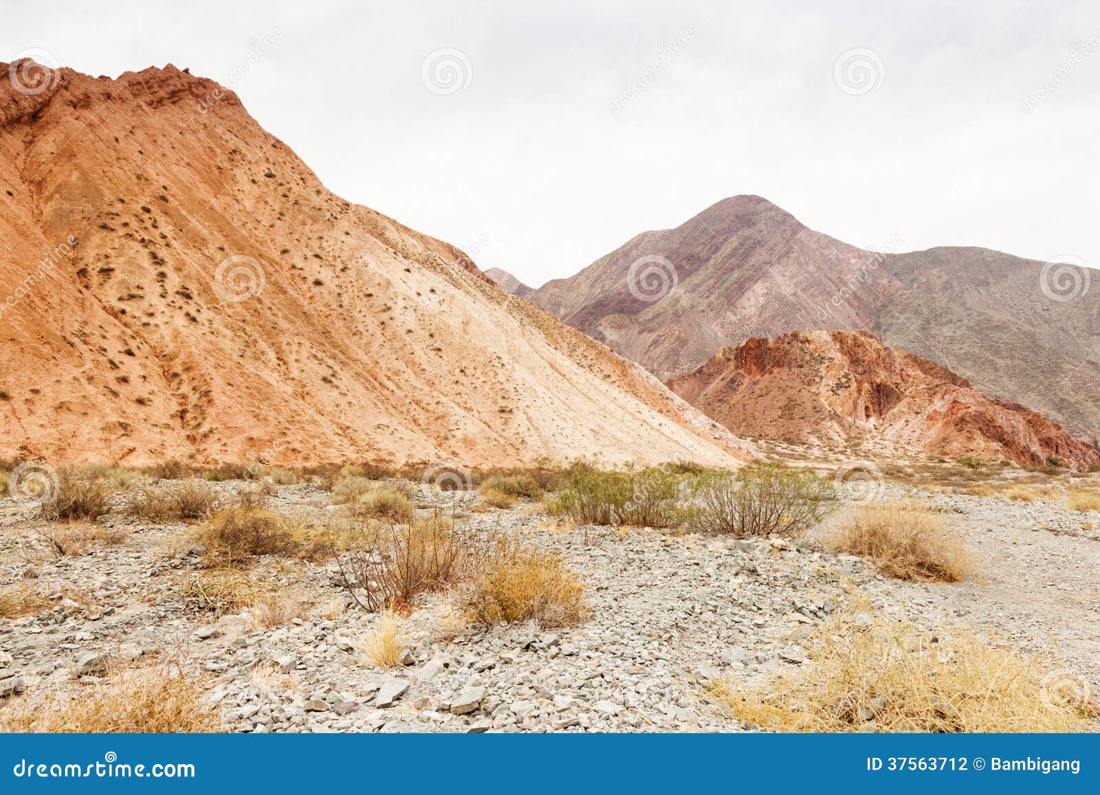 Vegetación seca foto de archivo. Imagen de estéril, argentina - 37563712