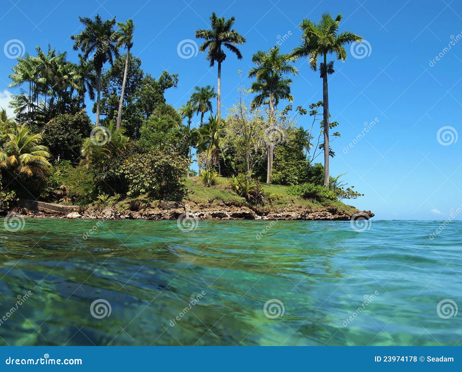 Vegetación Tropical Con Agua De La Turquesa Foto de archivo - Imagen de ...