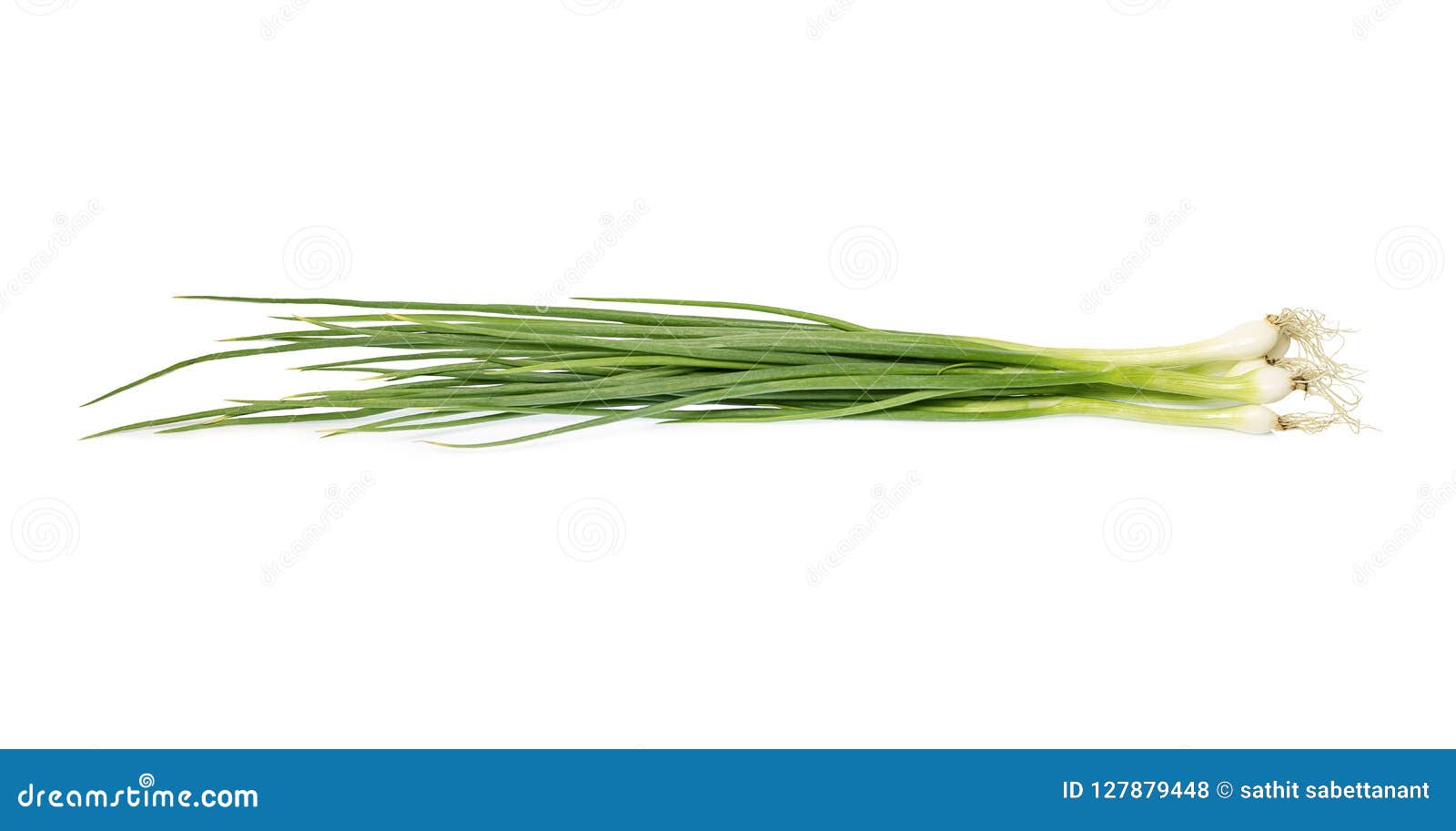 Vegetais, Cebola Verde Isolada No Fundo Branco Foto de Stock - Imagem ...