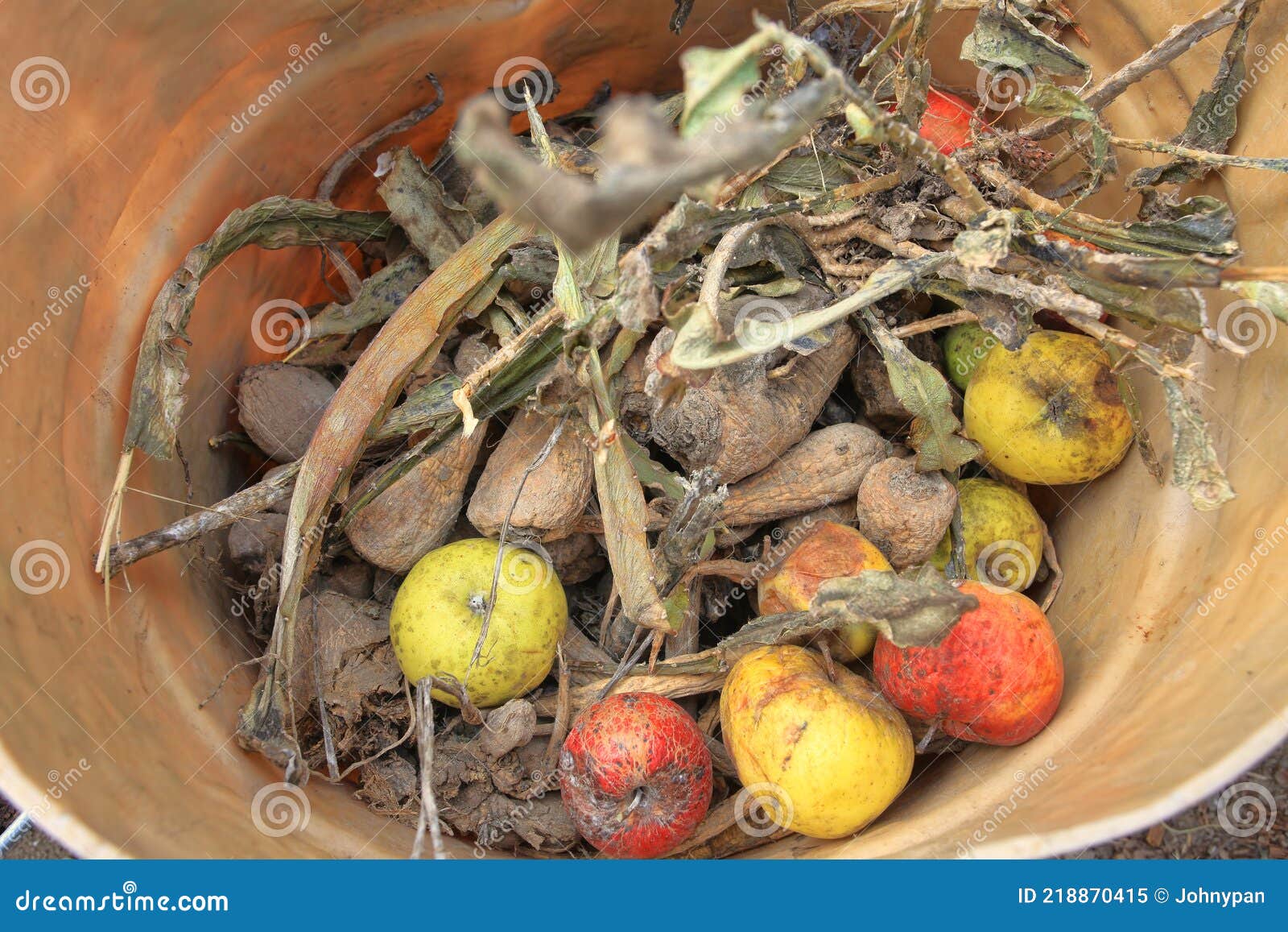 Vegetais podres e plantas imagem de stock. Imagem de seco - 218870415