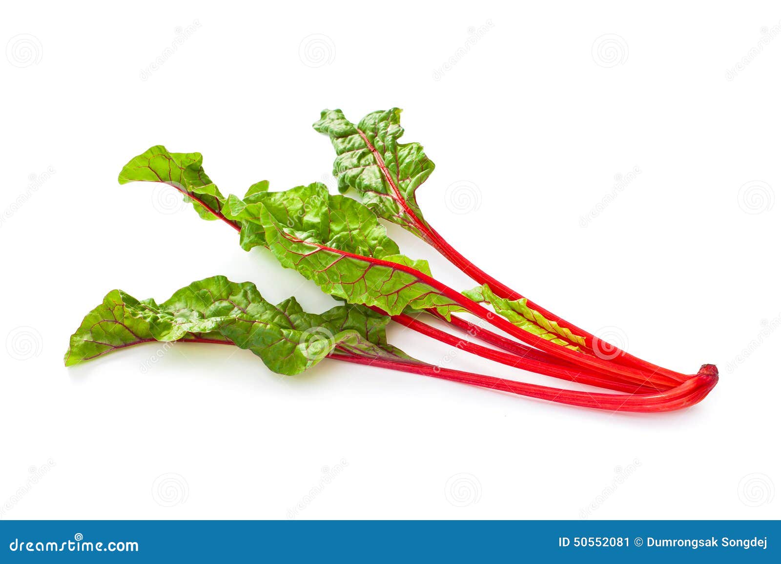 Vegetal da acelga imagem de stock. Imagem de fresco, fundo - 50552081