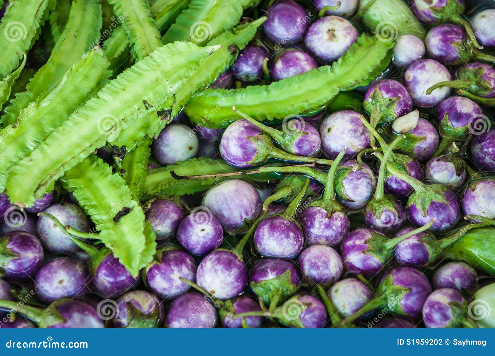 Vegetal Da Beringela Tailandesa Roxa E De Bea Voado Foto de Stock ...