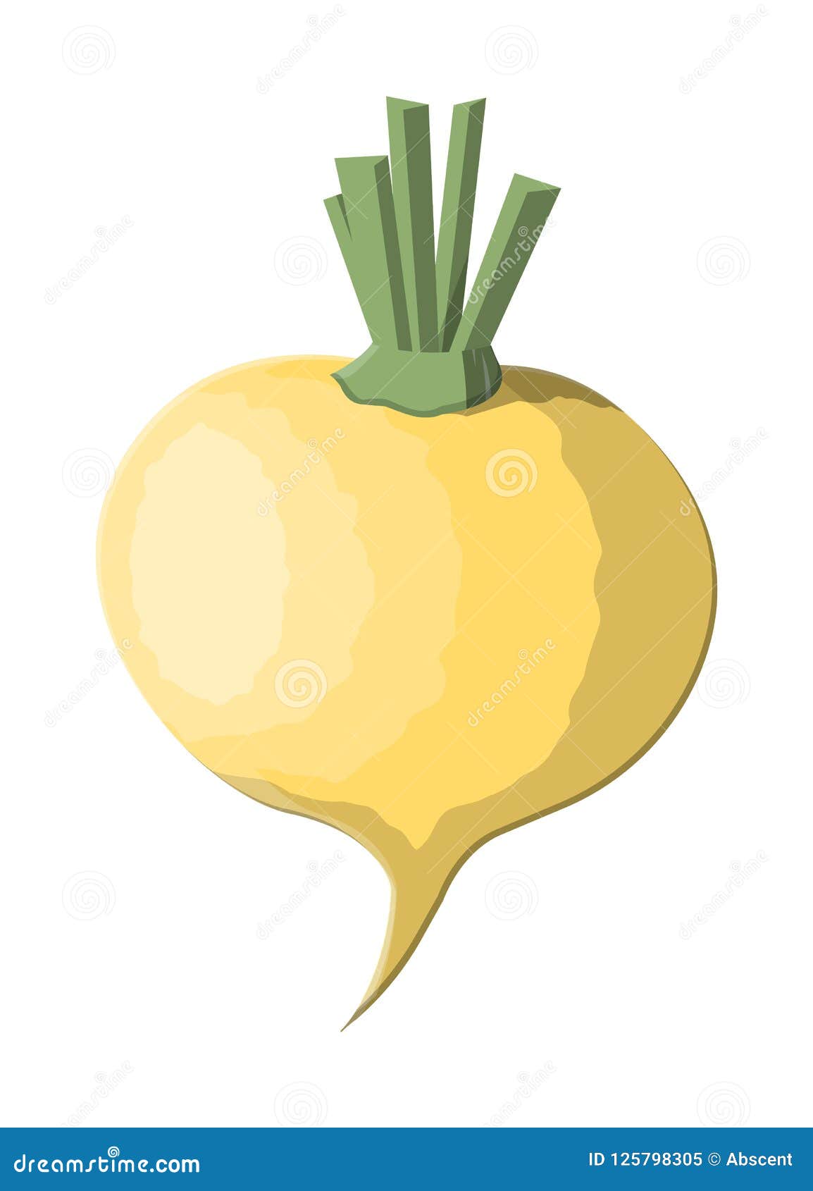 Vegetal Do Nabo Isolado No Fundo Branco Ilustração do Vetor ...