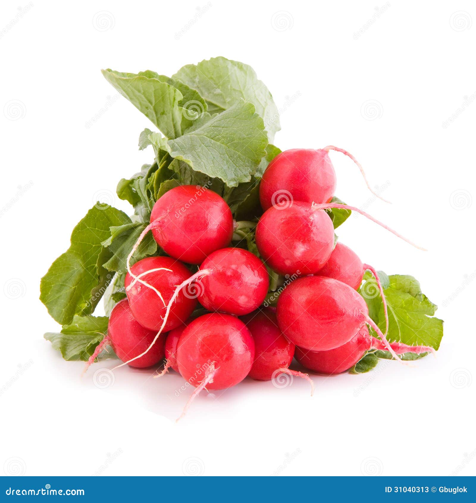 Vegetal Do Rabanete Vermelho Imagem de Stock - Imagem de branco, raiz ...