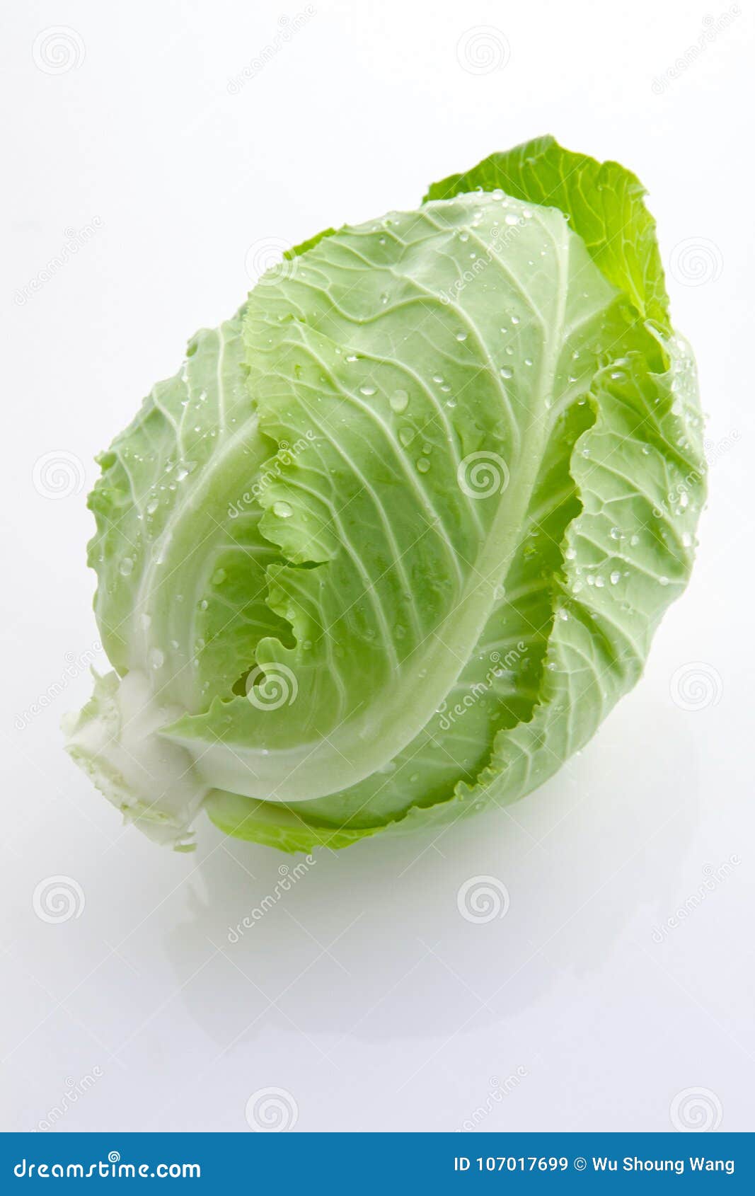 Vegetarian, Cabbage Heart, Small Cabbage, White Background, Stock Image ...