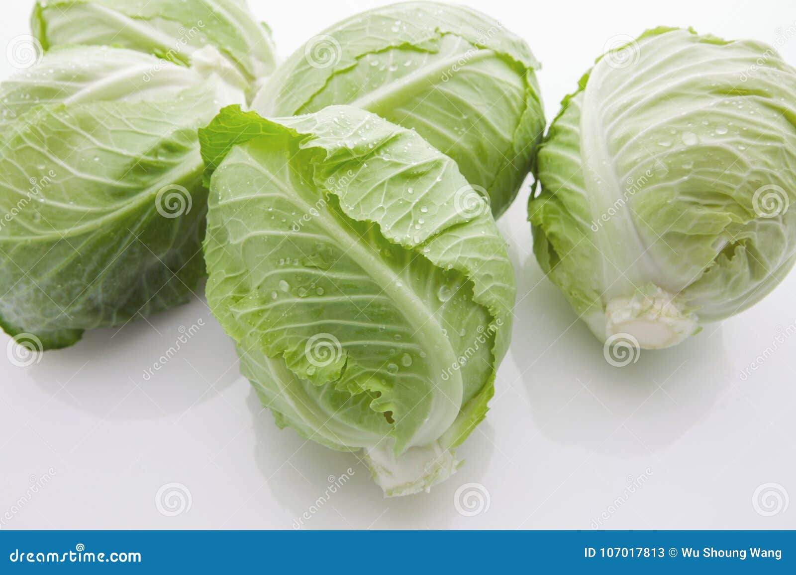 Vegetarian, Cabbage Heart, Small Cabbage, White Background, Stock Image ...