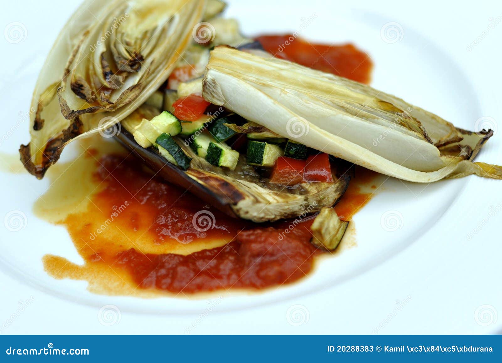 Vegetarian delicacy stock image. Image of decent, plate - 20288383