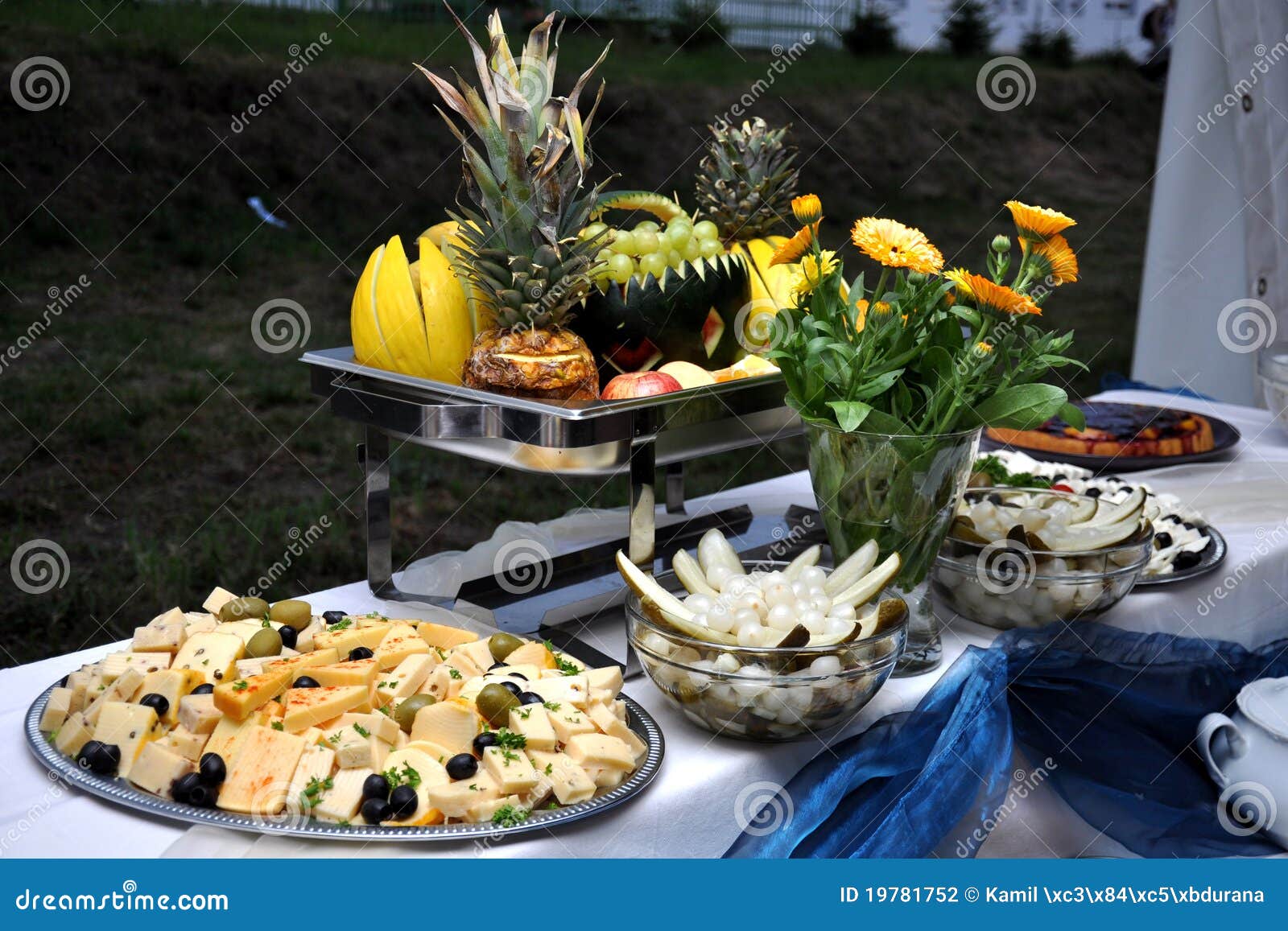 Vegetarian food display stock photo. Image of tasty, delicious - 19781752