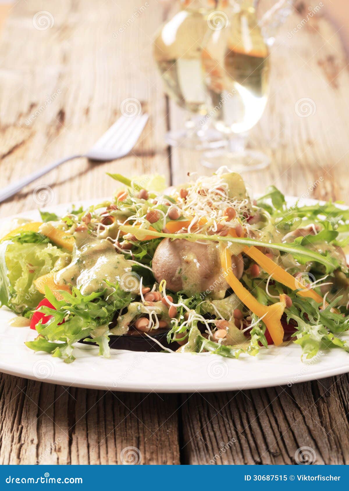 Vegetarian meal stock image. Image of healthy, dinner - 30687515