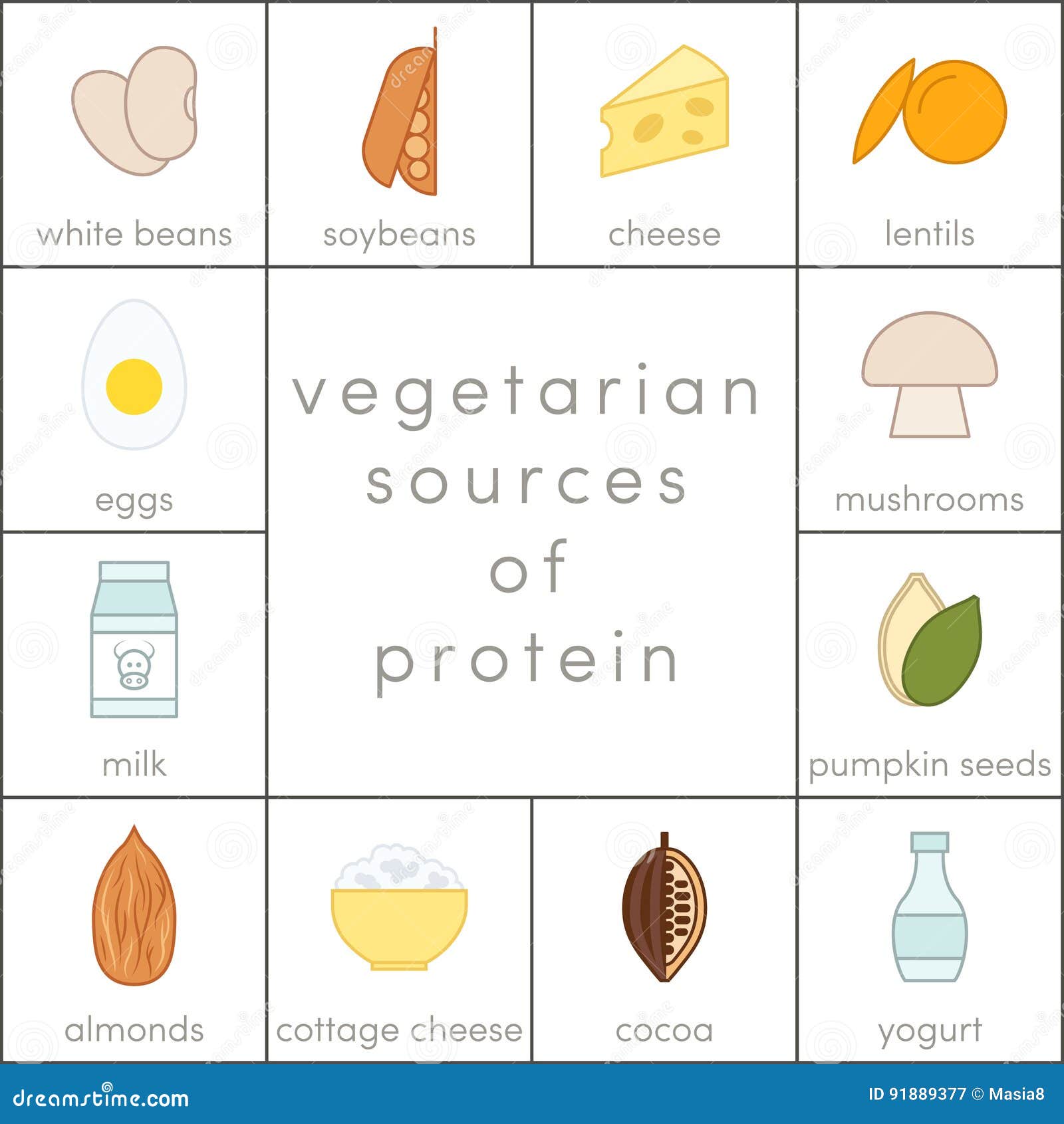 Vegetarian Sources of Protein Stock Illustration - Illustration of ...