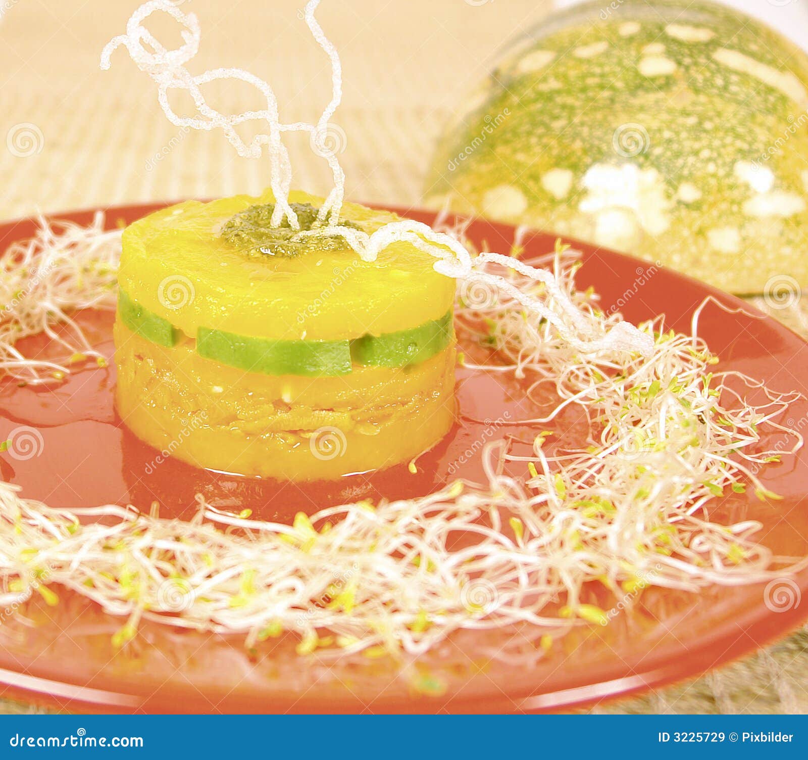 Vegetarian Starter Picture. Image: 3225729