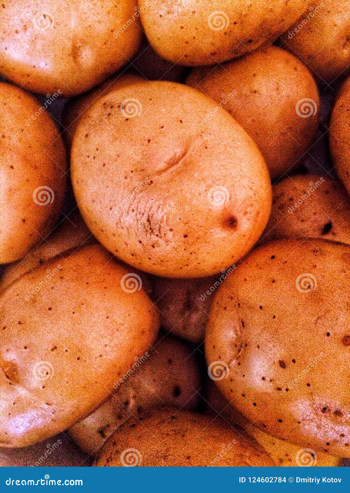 New potatoes stock photo. Image of texture, vegetarian - 124602784