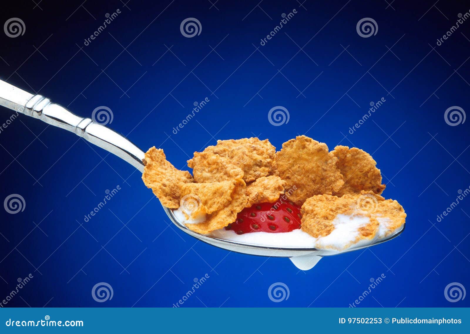 Vegetarisk Mat, Fried Food, Mat, Kokkonst Bild. Bild: 97502253