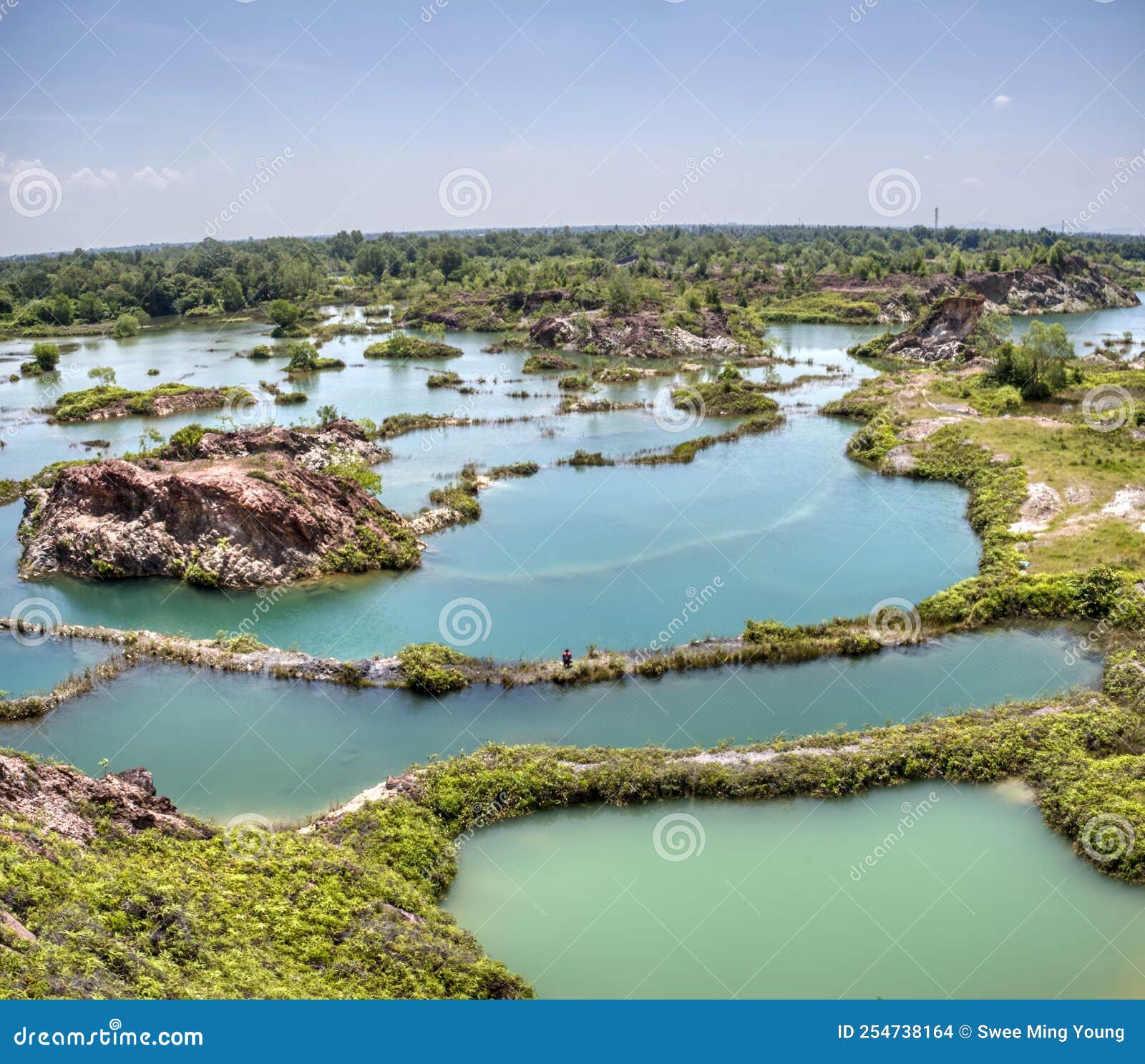 Vegetation Around the Abandoned Mine Pond. Stock Photo - Image of ...