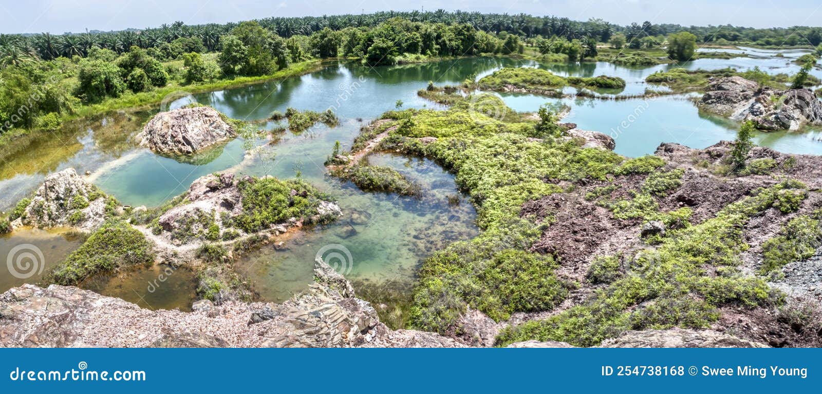 Vegetation Around the Abandoned Mine Pond. Stock Photo - Image of creek ...