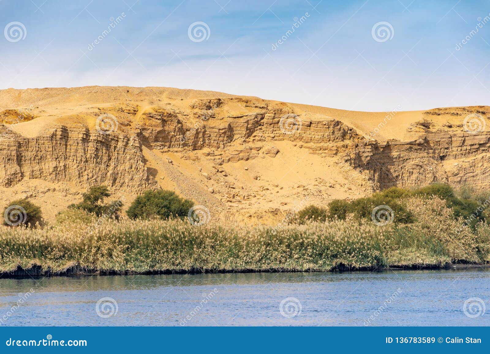 Vegetation on the Banks of Nile River in Egypt Stock Image - Image of ...