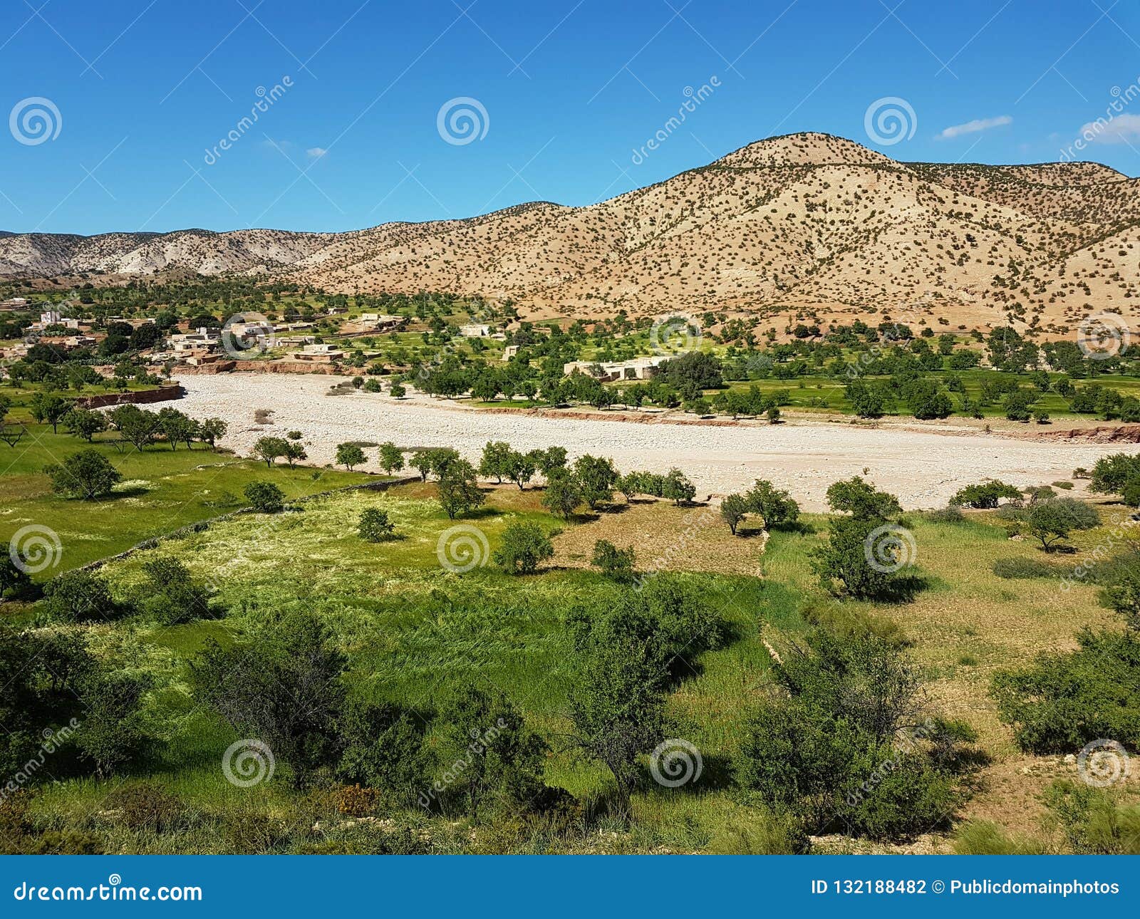 Vegetation, Ecosystem, Chaparral, Wilderness Picture. Image: 132188482