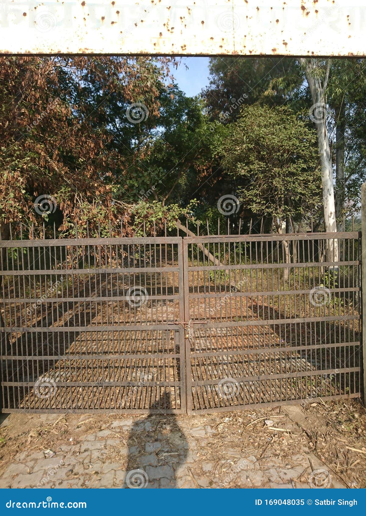 Vegetation are Growing in Boundry Stock Image - Image of high, food ...