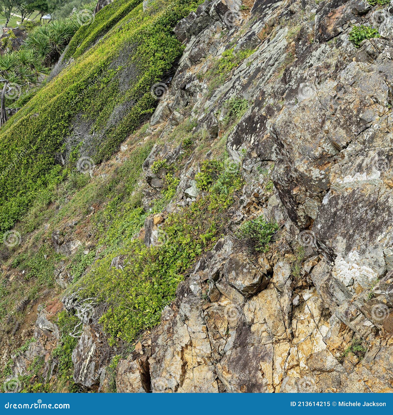 Vegetation Growing Over Cliff Rocks Stock Image - Image of natural ...