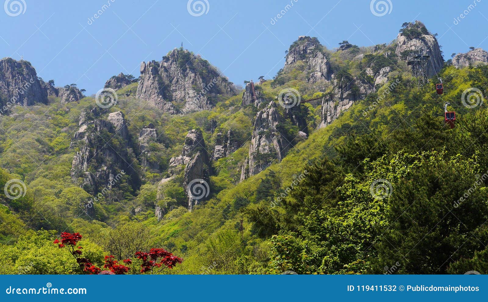 Vegetation, Mountainous Landforms, Mountain, Mount Scenery Picture ...