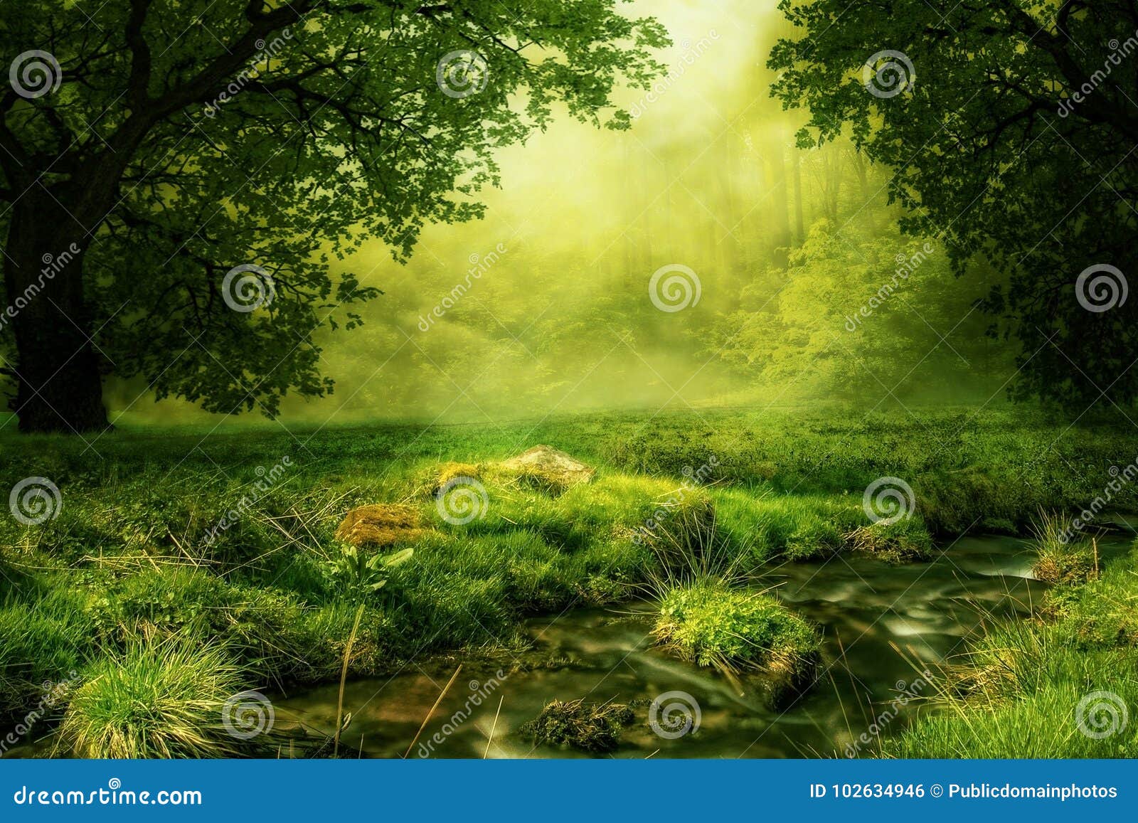 Vegetation, Nature, Ecosystem, Green Picture. Image: 102634946