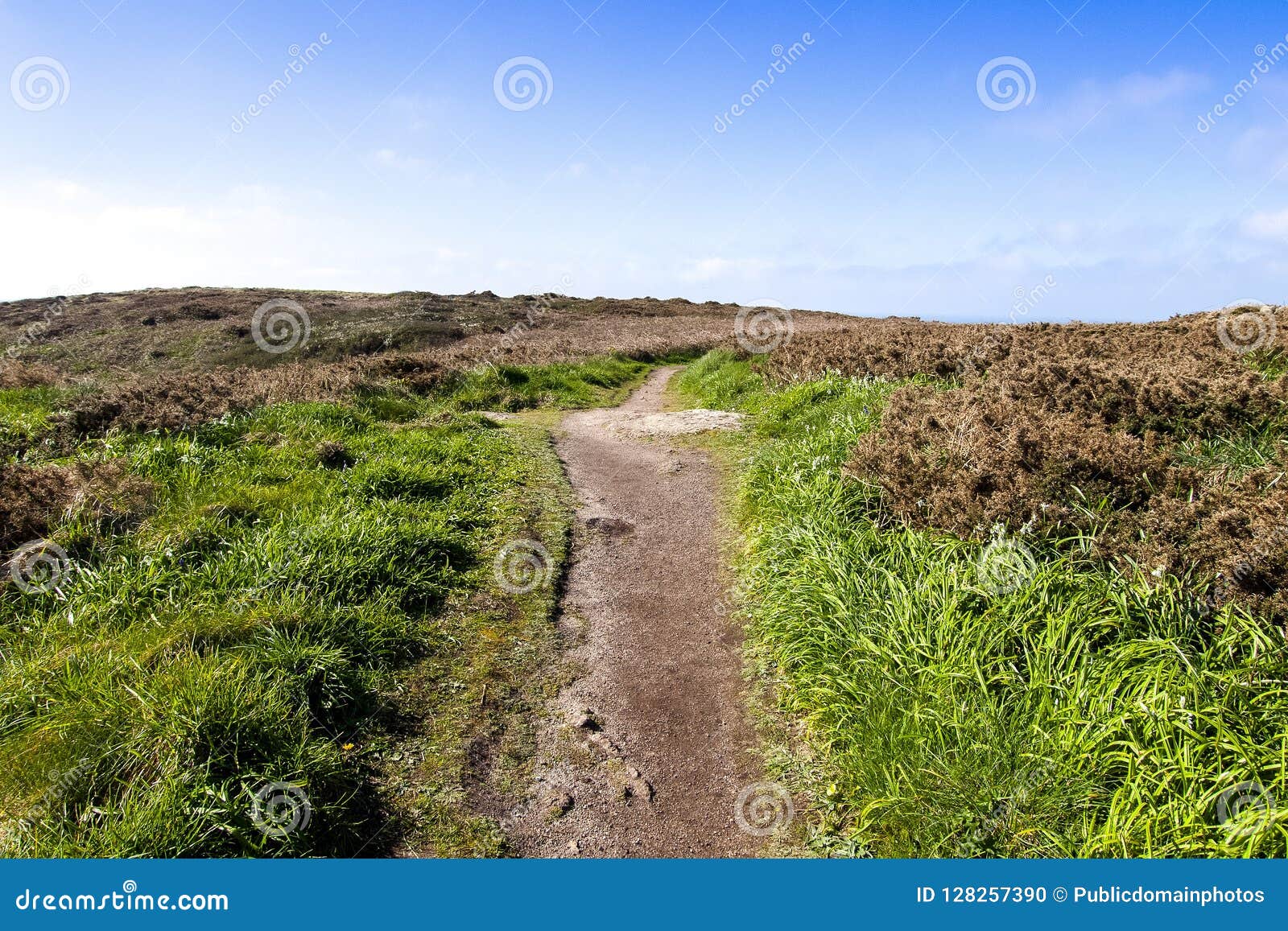 Vegetation, Path, Sky, Ecosystem Picture. Image: 128257390