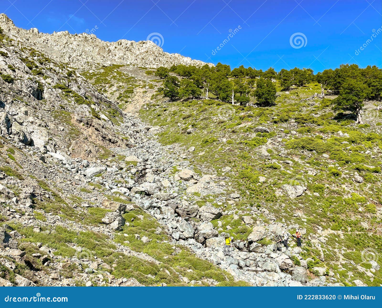 Vegetation on the Path To Fengari Peak in Samothrace Stock Photo ...