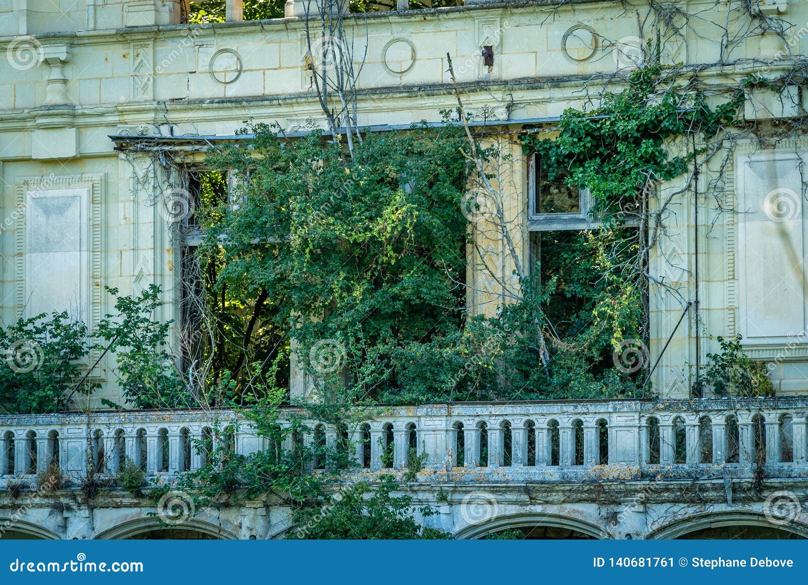 Vegetation in Ruins, Nature Takes Its Right Back Stock Image - Image of ...
