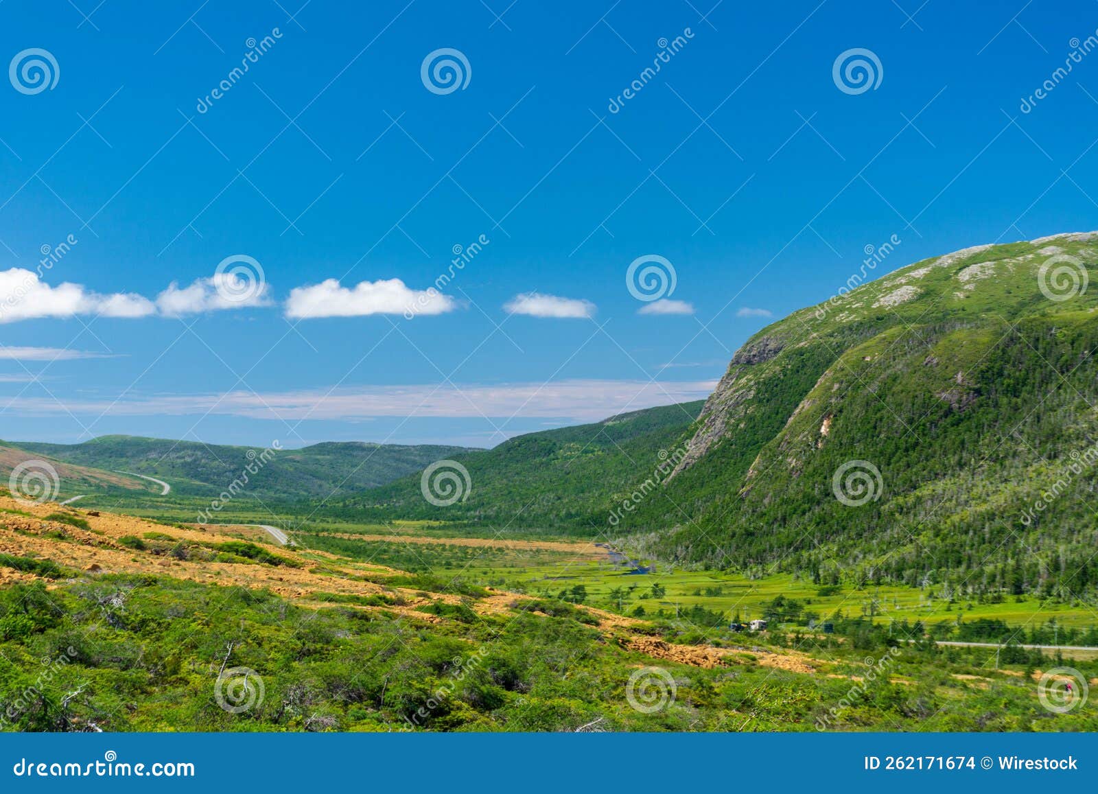 Vegetation in the Tablelands Stock Photo - Image of clouds, hill: 262171674