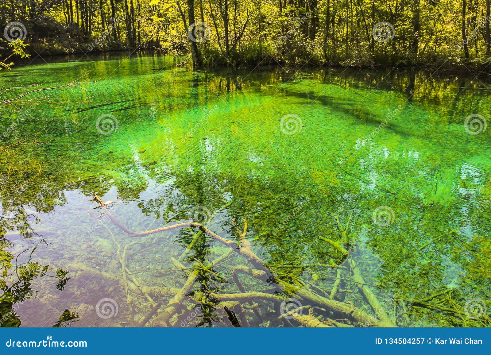Vegetation under the lake stock image. Image of famous - 134504257